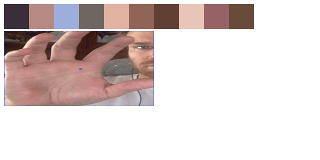 Polymer Mallard / Creative Problem Solving